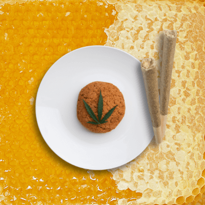 What Is Kief? | Cannabis Facts By The Honeycomb Farm | 207