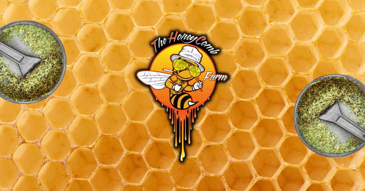 What Is Kief? | Cannabis Facts By The Honeycomb Farm | 207