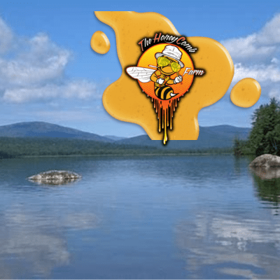 Maine's Summer Strain: Strawberry Runtz | The Honeycomb Farm